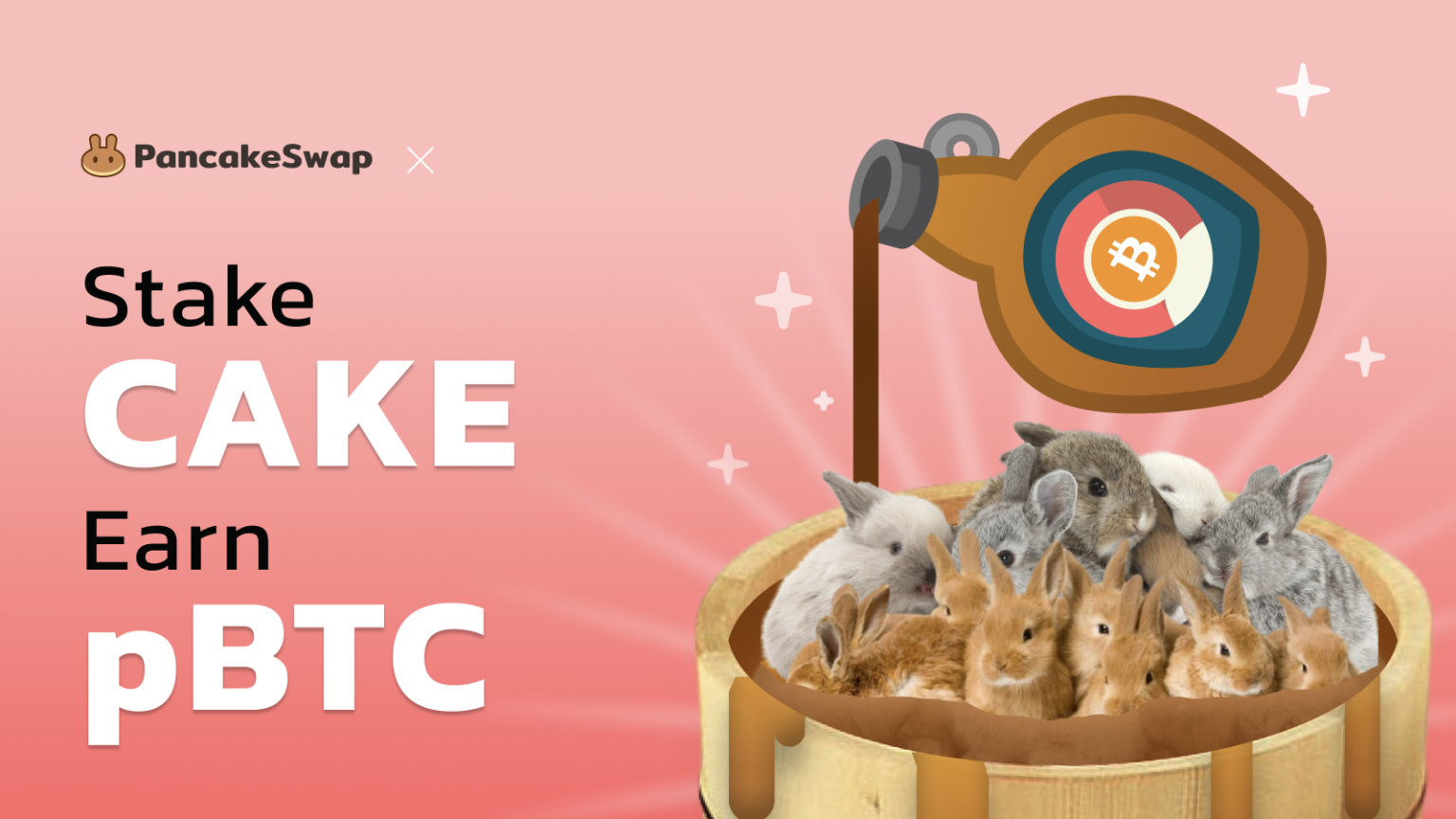 PancakeSwap New Syrup Pool with pNetworkDeFi - Smart Liquidity Research