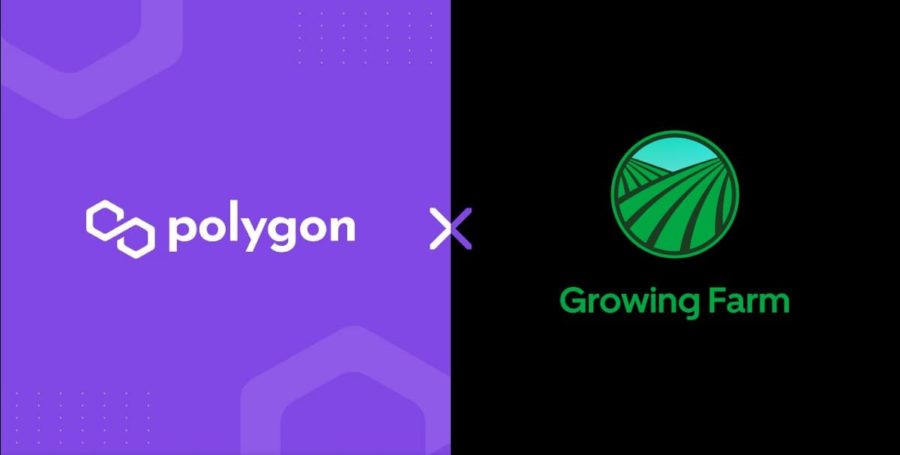 Growing Farm is launching on Polygon - Smart Liquidity Research