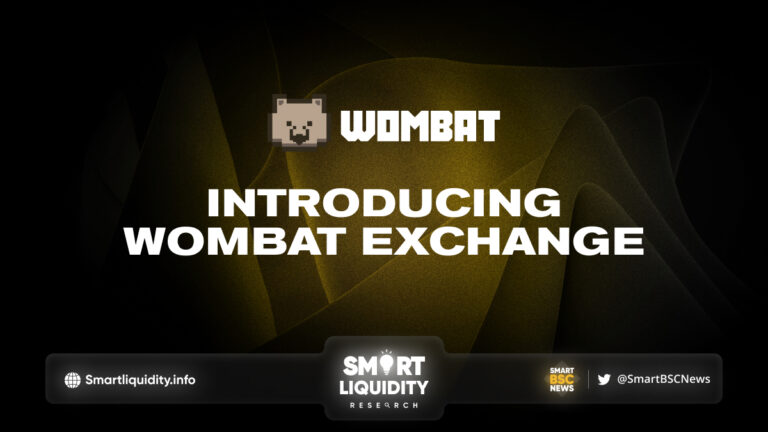 Introducing Wombat Exchange - Smart Liquidity Research