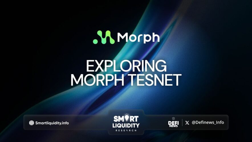 Exploring the Morph Testnet - Smart Liquidity Research