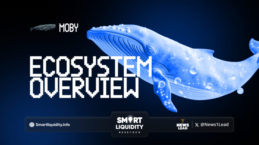 Blitz Ecosystem Overview - Smart Liquidity Research