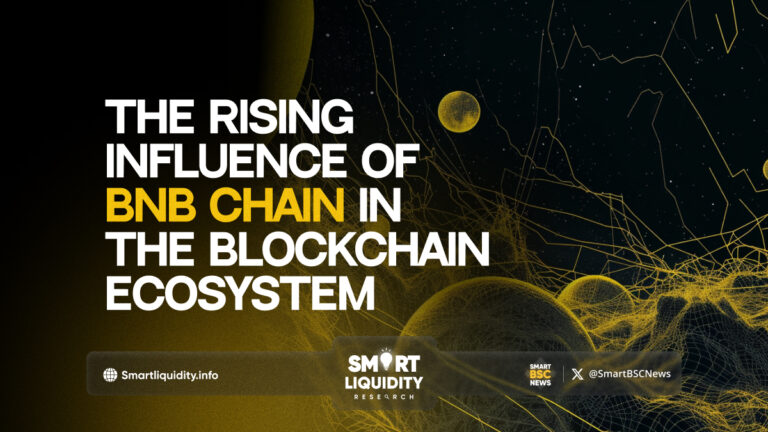 The Rising Influence of BNB Chain in the Blockchain Ecosystem