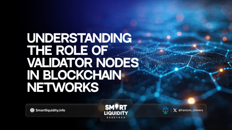 Understanding the Role of Validator Nodes in Blockchain Networks