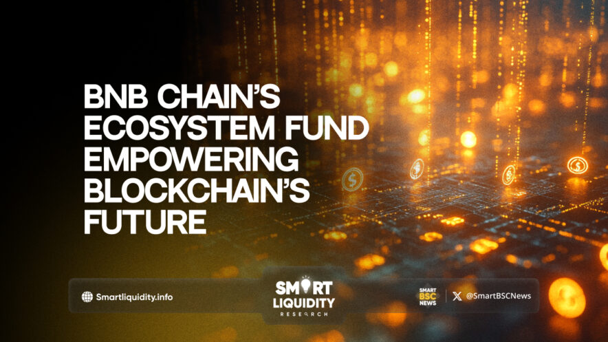BNB Chain's Ecosystem Fund: Empowering Blockchain's Future
