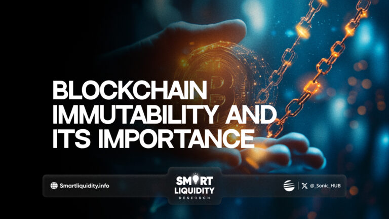 Blockchain Immutability and Its Importance - Smart Liquidity Research