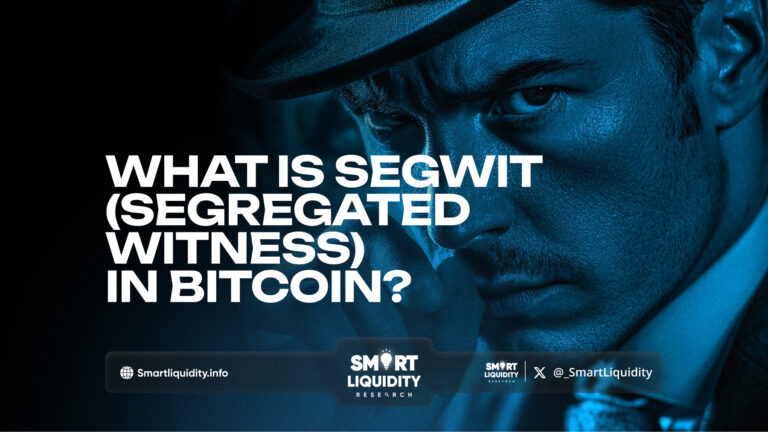 What is SegWit (Segregated Witness) in Bitcoin? - Smart Liquidity Research