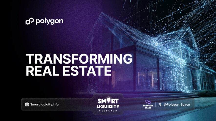 The Role of Polygon in Centralized Finance vs. Decentralized Finance